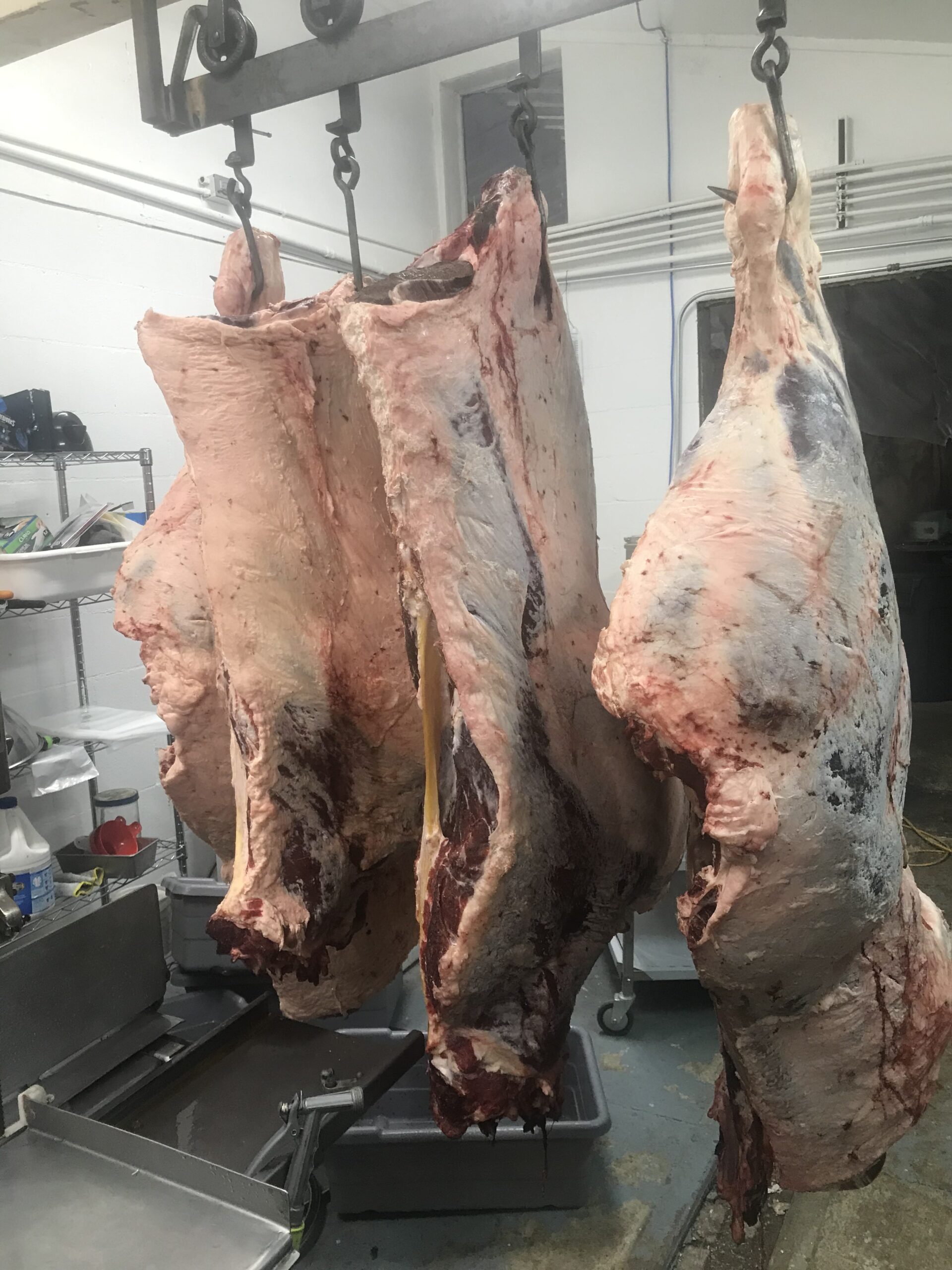 1 4 1 2 Whole Beef Alaska Natural Foods 1 4 1 2 Whole Beef Alaska Natural Foods